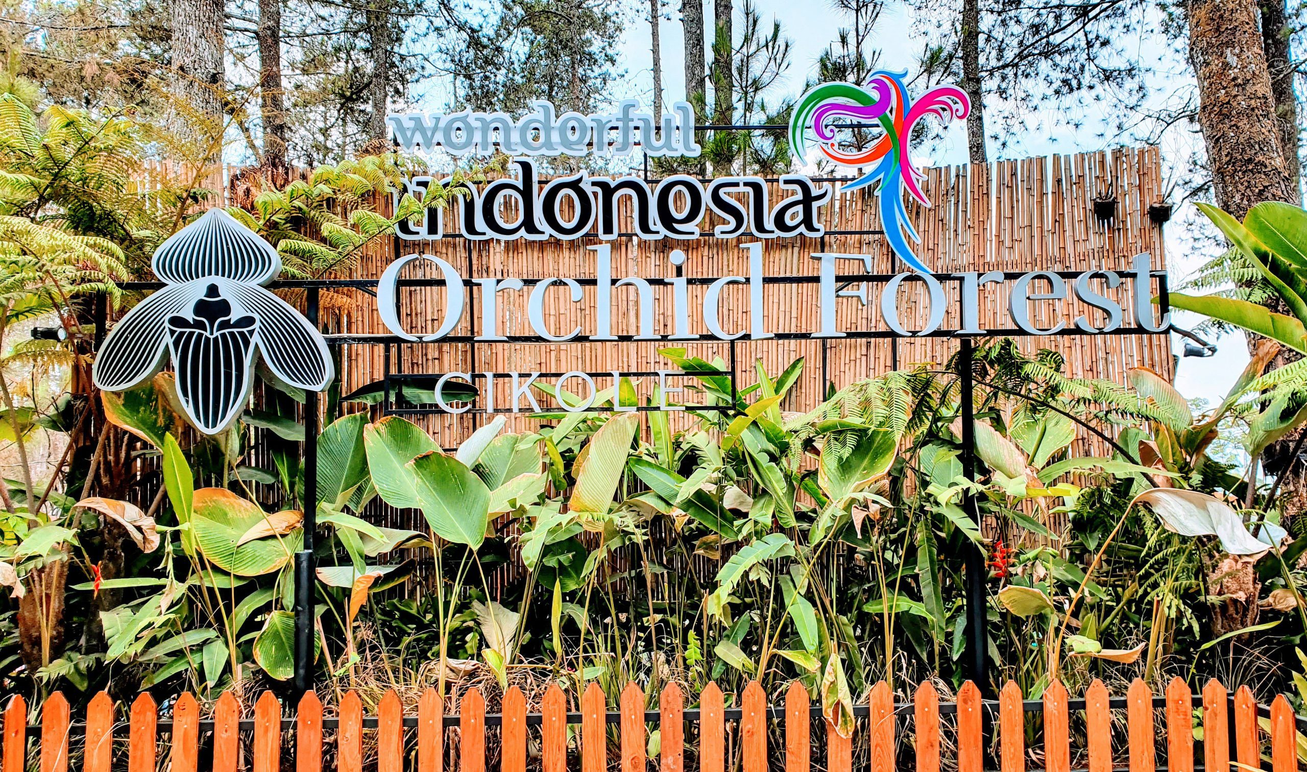 Orchid Forest Cikole: Surga di Dalam Hutan Pinus - Blog Traveling ...
