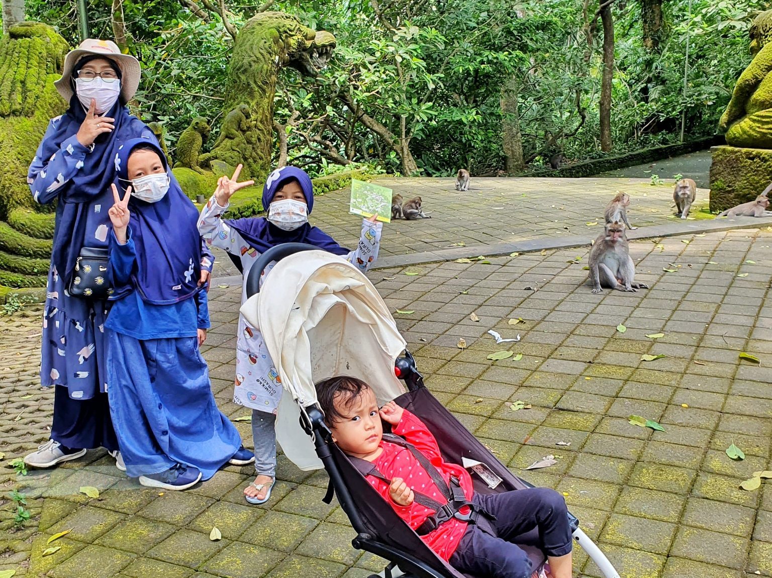 Pengalaman ke Monkey Forest Ubud, Surganya Monyet di Bali - Blog ...