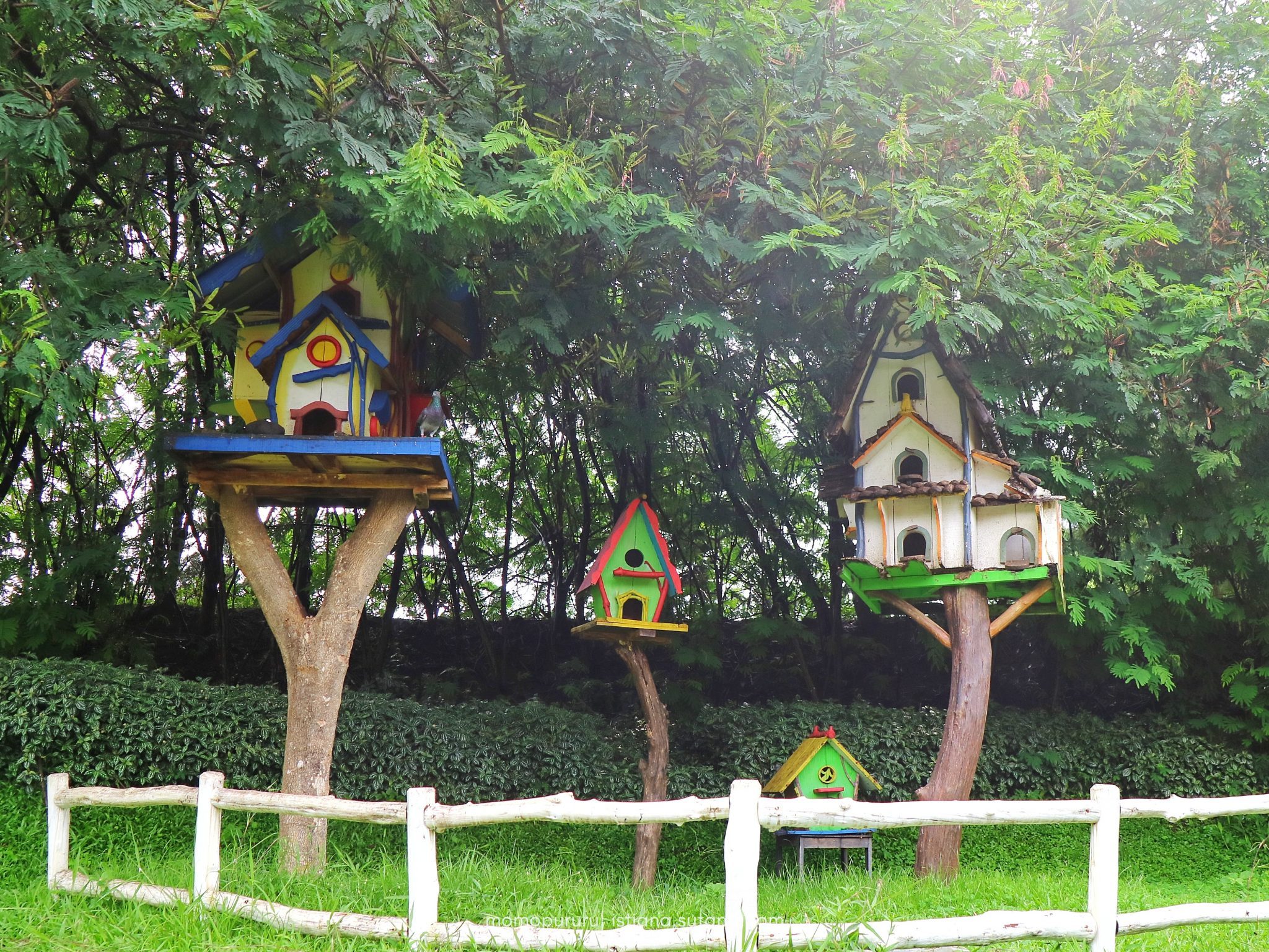 5 Alasan The Ranch Puncak Jadi Tempat yang Wajib Kamu Kunjungi - Blog ...