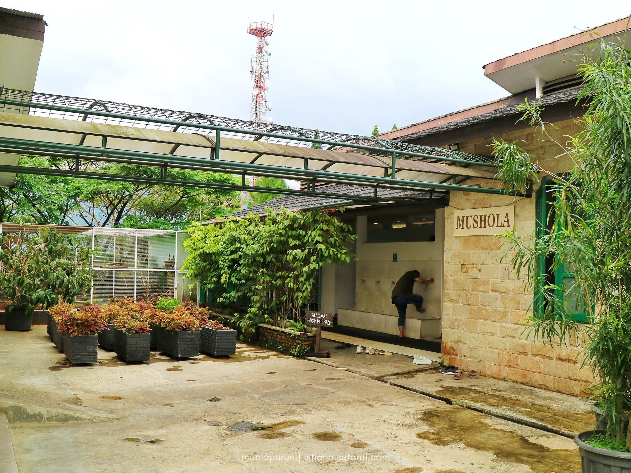 5 Alasan The Ranch Puncak Jadi Tempat yang Wajib Kamu Kunjungi - Blog ...