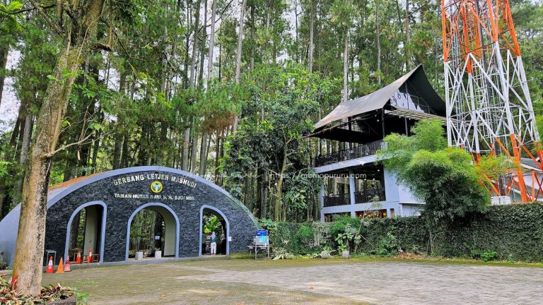 Menemukan Surga Asri Bersama Pasangan di Taman Hutan Raya Juanda ...