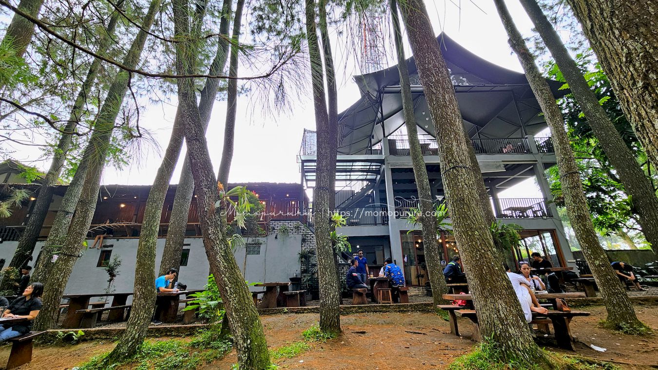 Menemukan Surga Asri Bersama Pasangan di Taman Hutan Raya Juanda ...