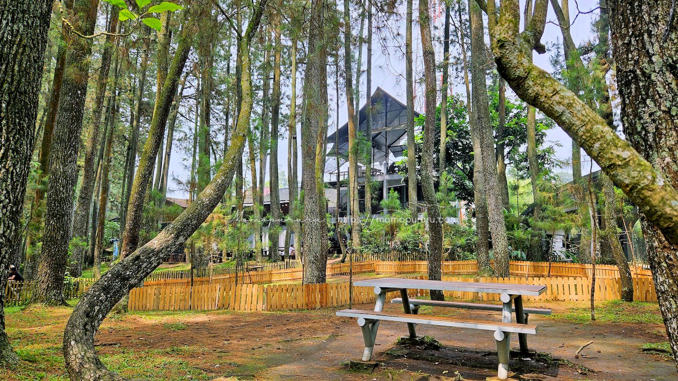 Menemukan Surga Asri Bersama Pasangan di Taman Hutan Raya Juanda ...