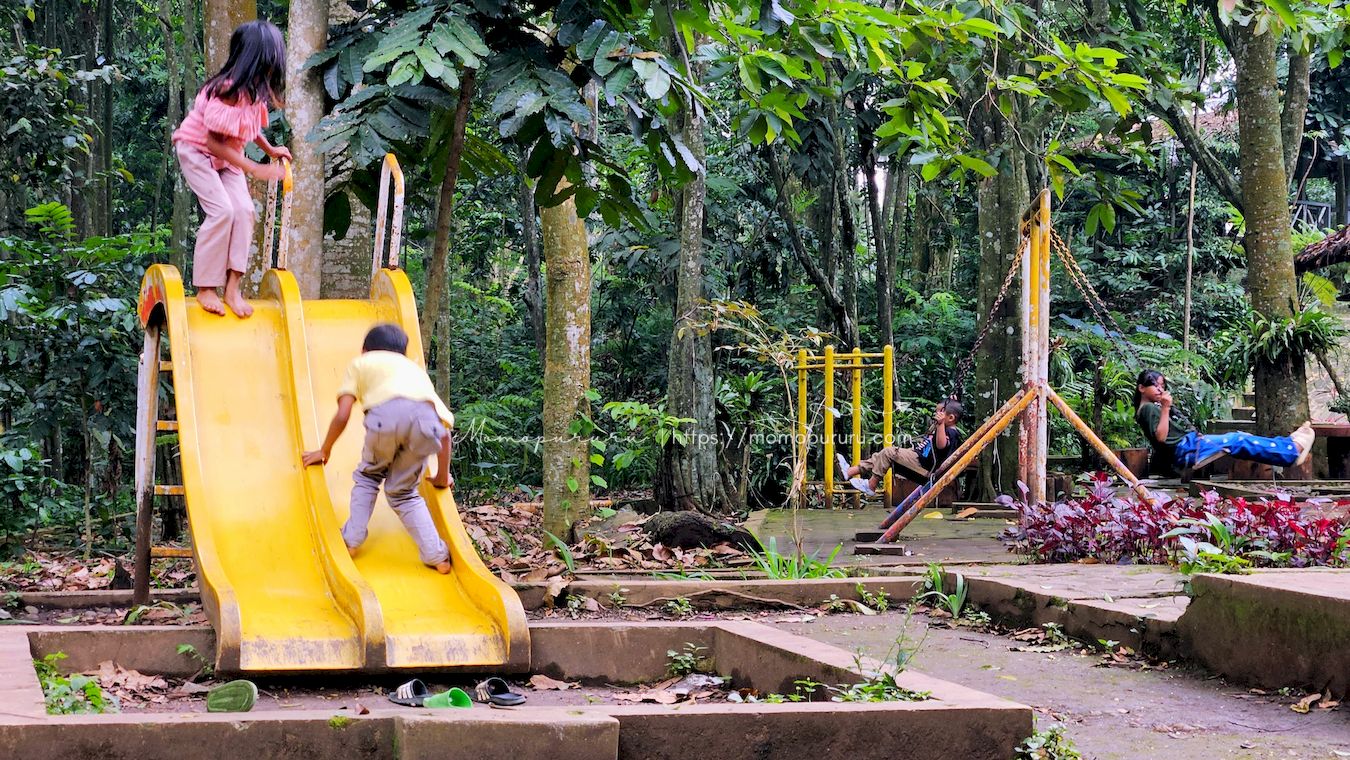 Menemukan Surga Asri Bersama Pasangan di Taman Hutan Raya Juanda ...