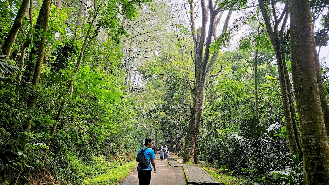 Menemukan Surga Asri Bersama Pasangan di Taman Hutan Raya Juanda ...