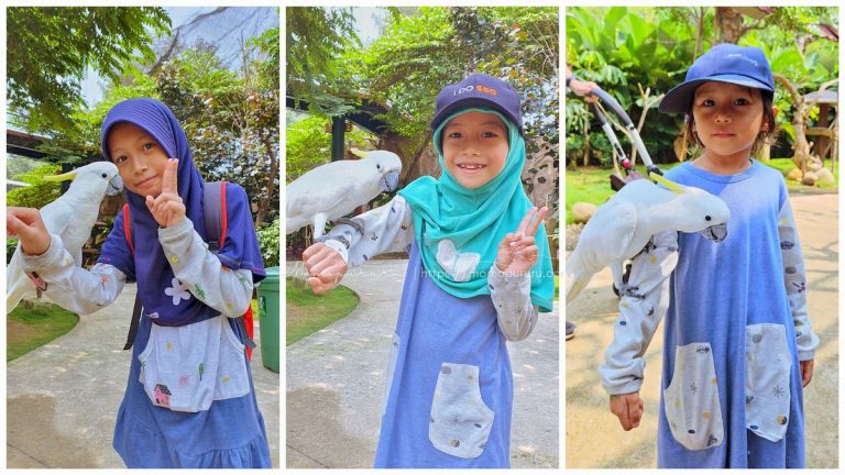 Taman Burung Jakarta, Mana yang Paling Recommended?