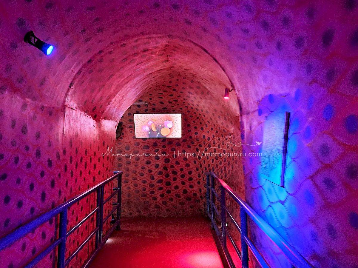 Menjelajah Museum Tubuh Bagong