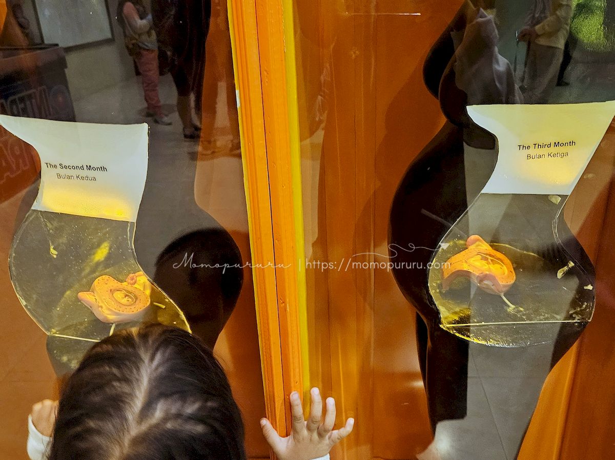 Menjelajah Museum Tubuh Bagong