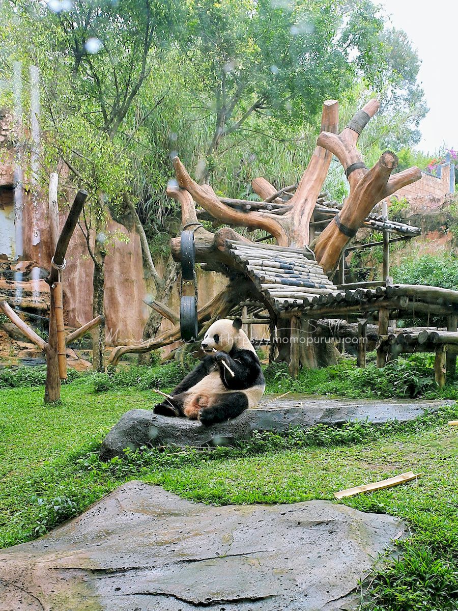 Kebun Binatang Indonesia Favorit Anak - Blog Traveling Keluarga Indonesia