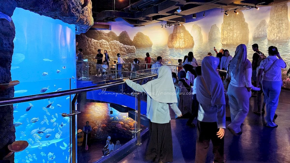 BXSea Bintaro Sebesar dan Seseru Apa untuk Anak-anak?