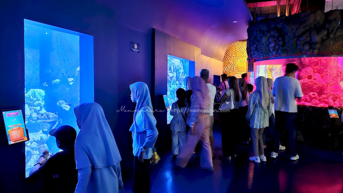 BXSea Bintaro Sebesar dan Seseru Apa untuk Anak-anak?