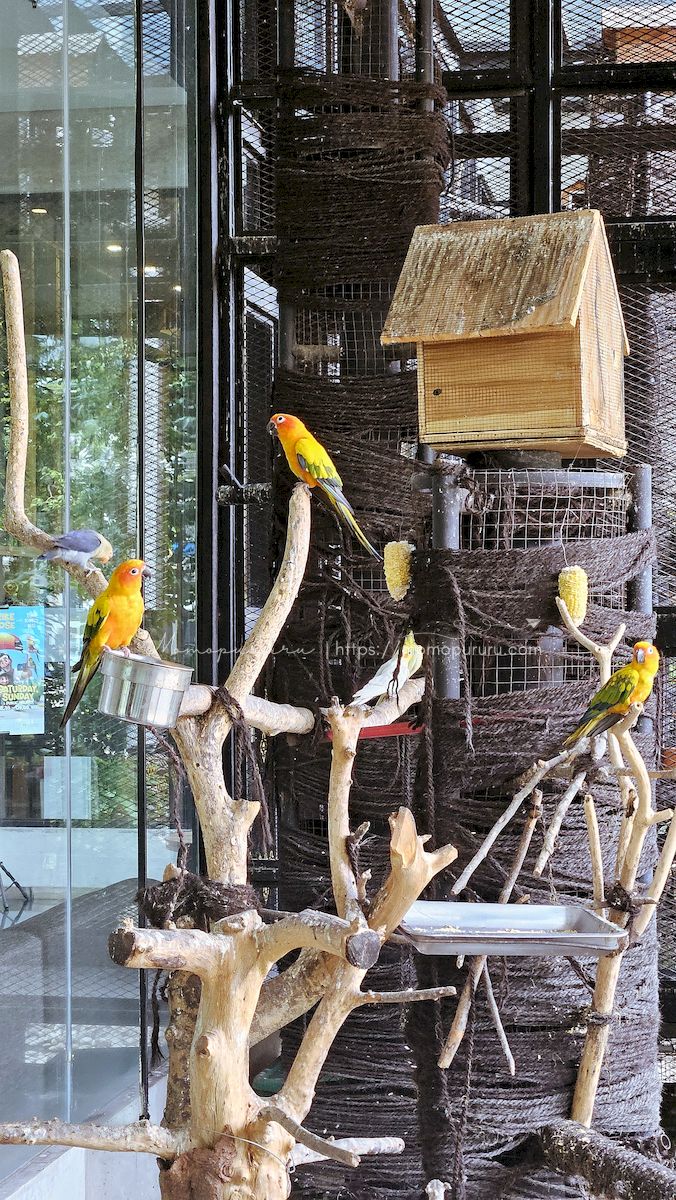 Aviary Hotel, Nikmatnya Sarapan Ditemani Kicauan Burung - Blog ...
