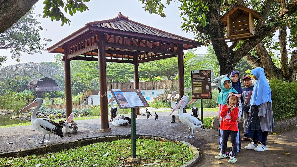 Taman Burung Jakarta, Mana yang Paling Recommended?