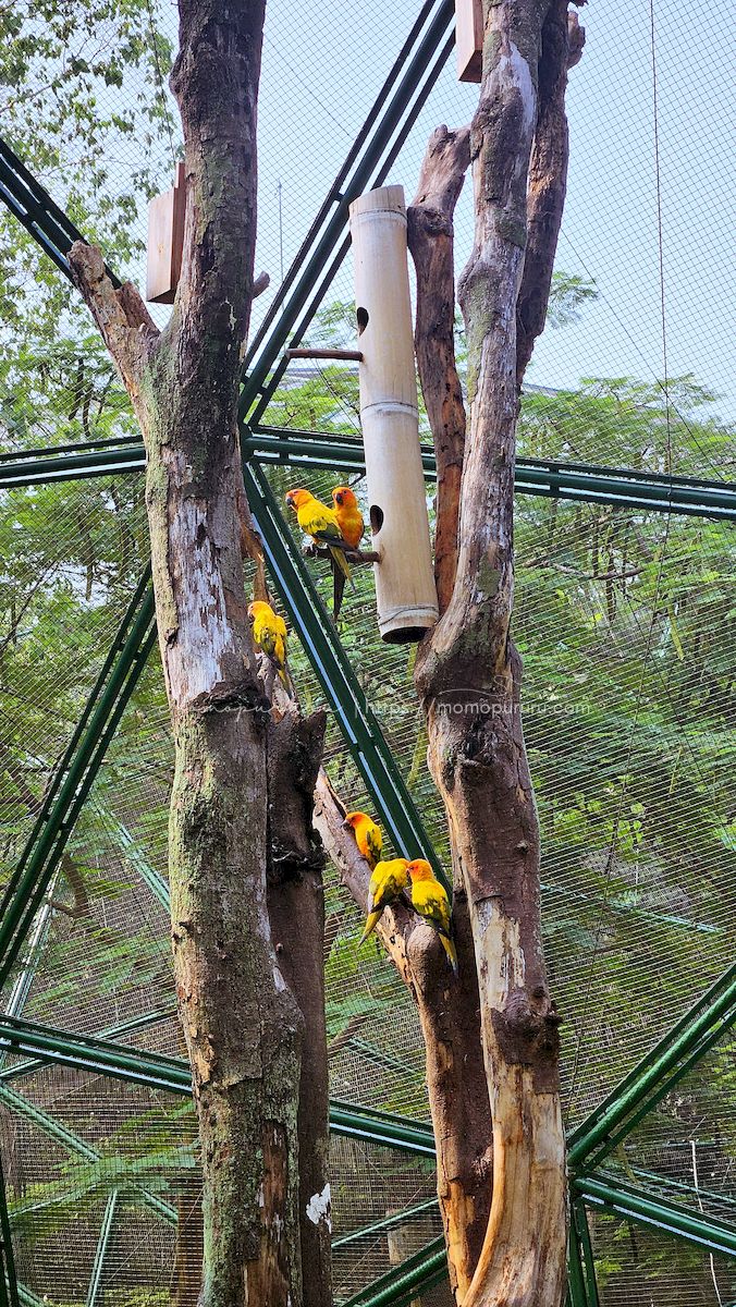 Taman Burung Jakarta, Mana yang Paling Recommended?