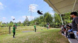 Aviary Park Bintaro, Sepadankah dengan Harga Tiket Masuknya?