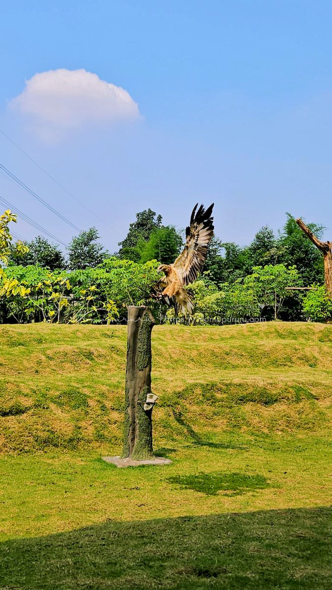 Aviary Park Bintaro, Sepadankah dengan Harga Tiket Masuknya?