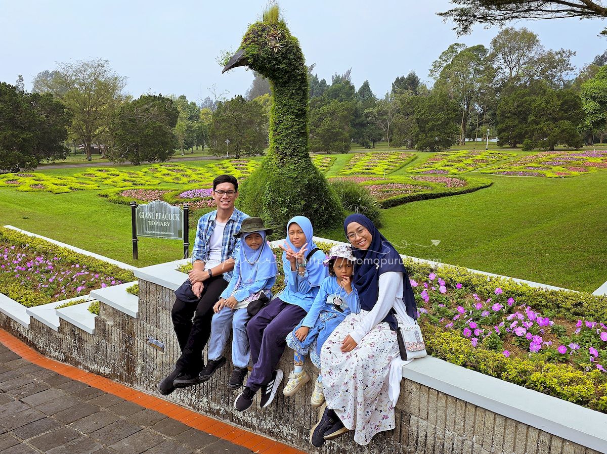 Taman Bunga Nusantara untuk Piknik Bersama Keluarga - Blog Traveling ...