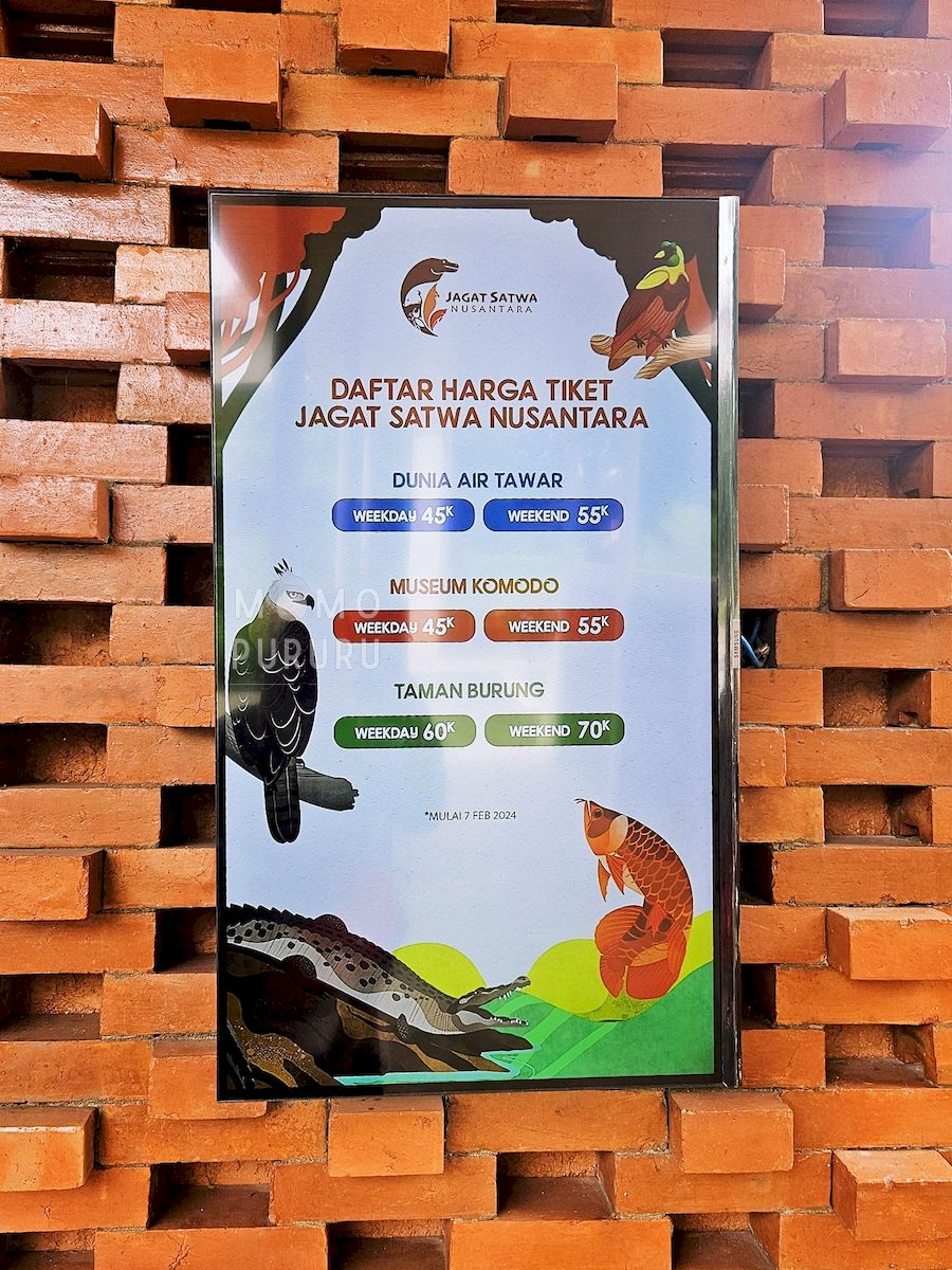 Bertemu Komodo di Museum Komodo TMII