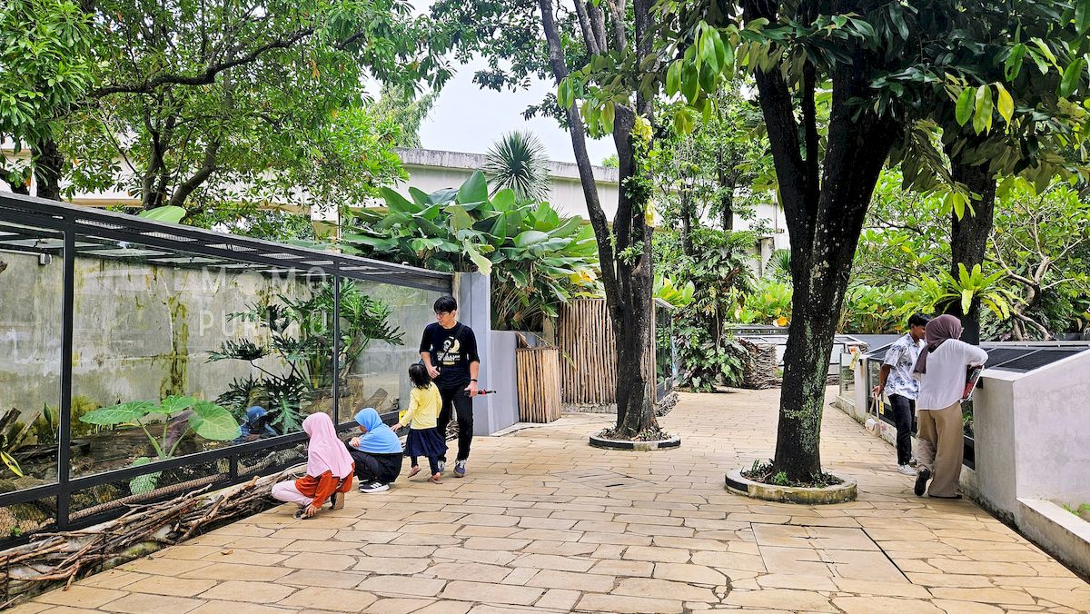 Bertemu Komodo di Museum Komodo TMII