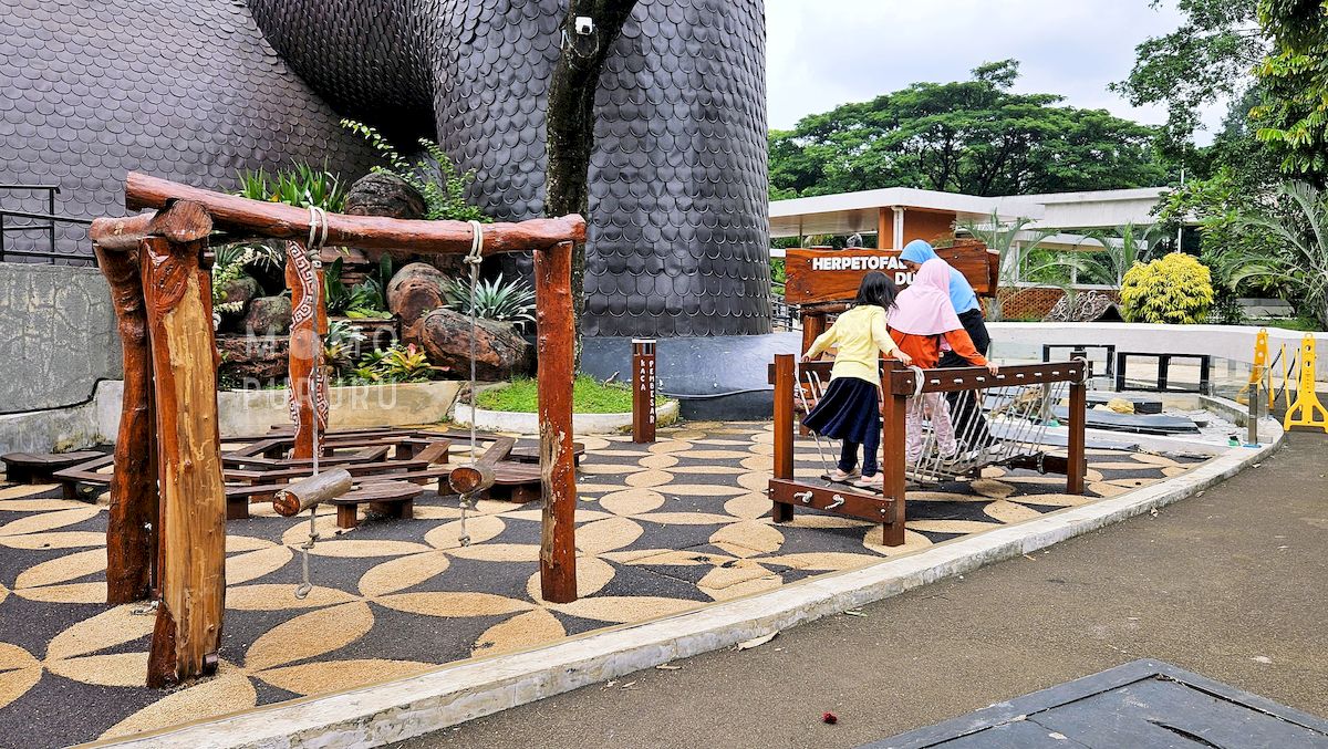Bertemu Komodo di Museum Komodo TMII